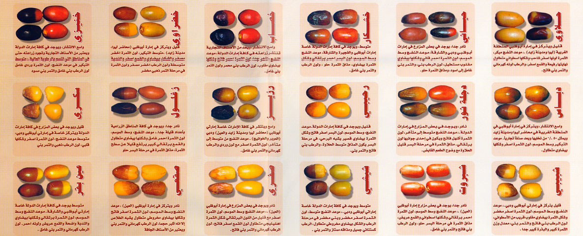 Emirates Dates - Facts