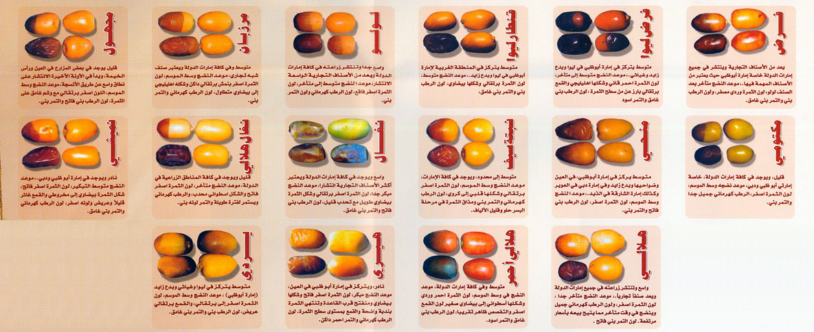 Emirates Dates - Facts